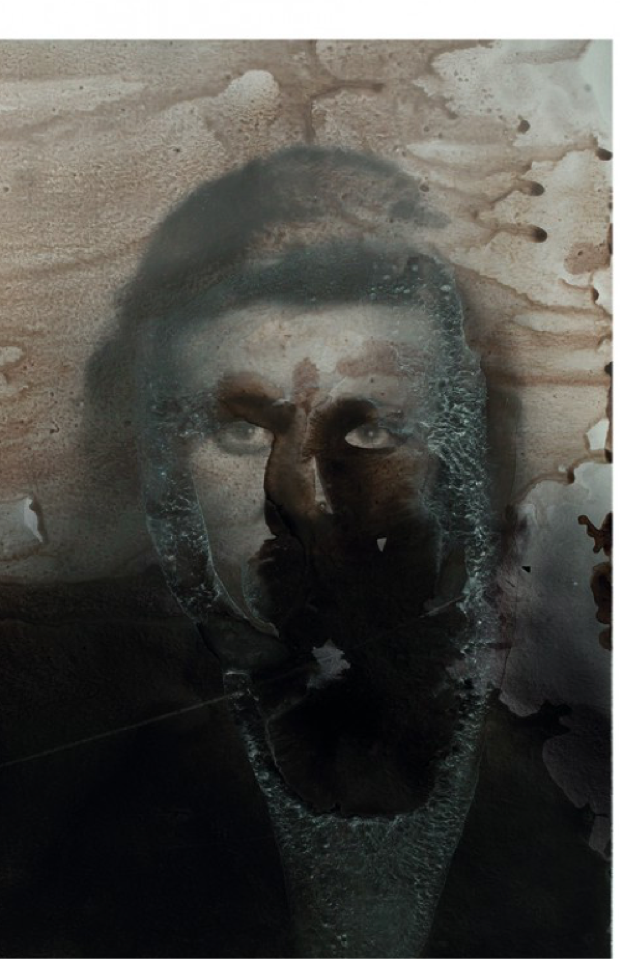 tichyocean — collection